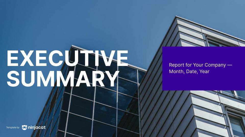Executive Summary Report Example Executive Report Template